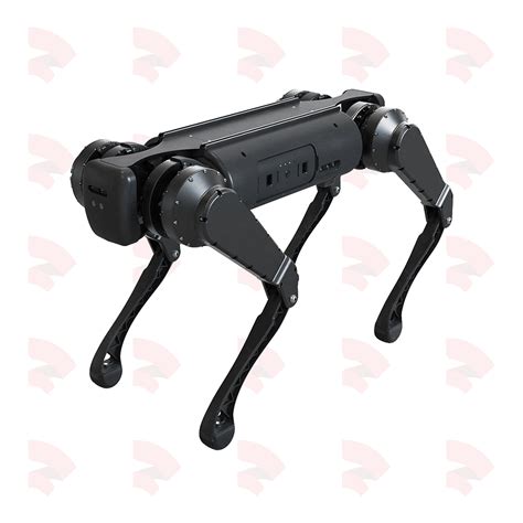 B1 Robot For Rental For Events And Exhibitions In The Middle East