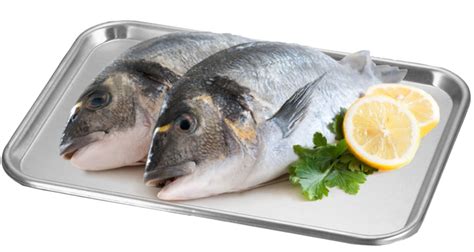 Dorade Meledi Horeca Groothandel