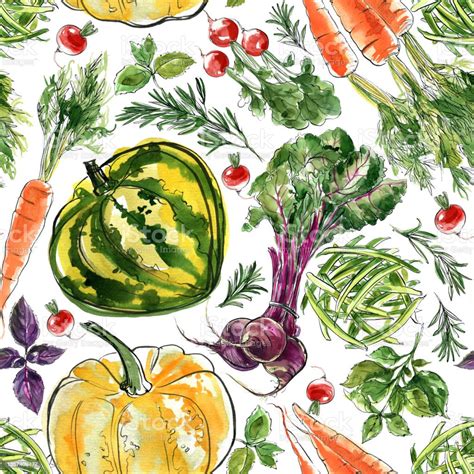 흰색 배경에 수채화를 그린 야채의 패턴 토마토 양파 무 파프리카 향신료와 허브 색깔의 야채와 허브 채식주의 농업 음식 스케치 3가지 개체에 대한 스톡 벡터 아트 및 기타
