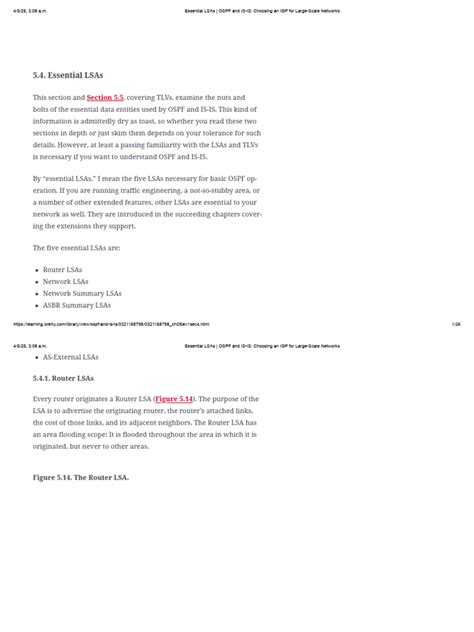 Essential Lsas Ospf And Is Is Choosing An Igp For Large Scale Networks Pdf Data