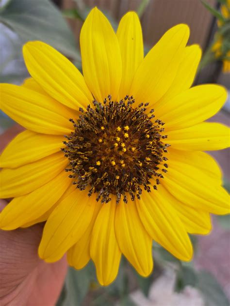 Umer Bajwa On Linkedin Nature Is Best Therapy Photography Is Passion And Always Feel Peace In