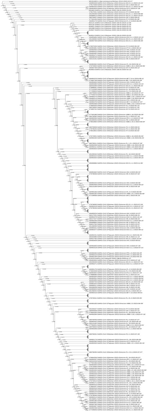 Evolutionary And Phylogenetic Dynamics Of Sars Cov 2 Variants A