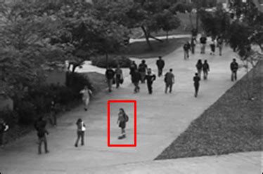 The Representative Abnormal Events In The Benchmark Datasets Download Scientific Diagram