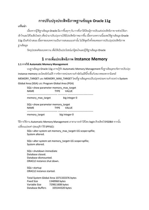 การเพิ่มประสิทธิภาพ Instance Memory Oracle 11g Pdf