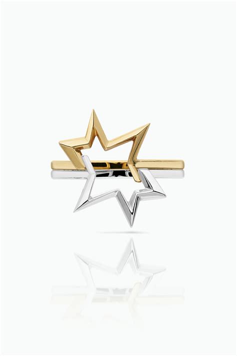 Double Titanium Salute Rings Two Toned Platinum And 18k Gold Le Ster Luxury Diamond Jewellery