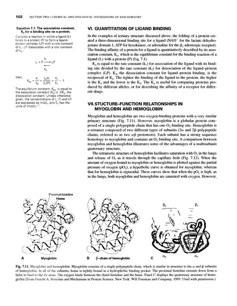Hemoglobin Distal Proximal Histidine Big Chemical Encyclopedia