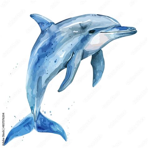 Watercolor Drawing Clipart Of A Dolphin Isolated On A White Background
