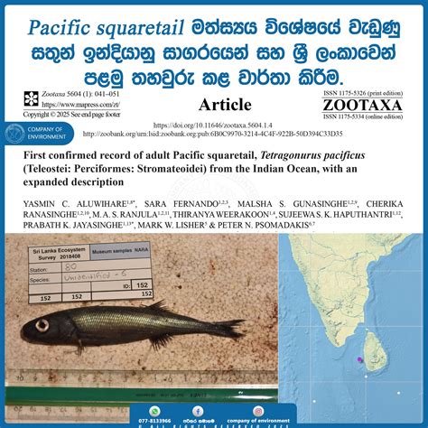 පරිසර Pacific Squaretail මත්ස්‍යය විශේෂයේ වැඩුණු සතුන් ඉන්දියානු සාගරයෙන් සහ ශ්‍රී ලංකාවෙන්