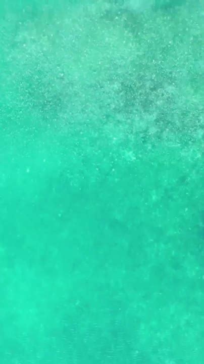 ashish mishra on linkedin canareefisland maldivessunsets naturemeetsluxury wineandsunset…