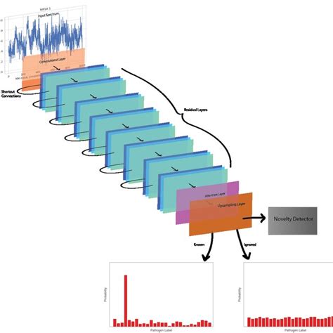 Schematic Representation Of Our Custom Resnet Architecture The Dnn Download Scientific Diagram
