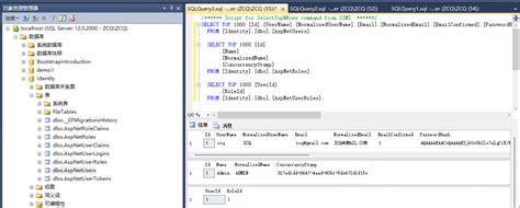 Net Core 教程 Part5 1 2 Identity标识框架 个人技术分享