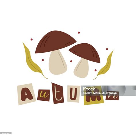 두 개의 갈색 버섯 녹색 잎 및 비문 가을이있는 사각형 엽서 잘라낸 글자로 콜라주 글자 손으로 그린 벡터 일러스트 레이 션 에서 플랫 낙서 스타일 10월에 대한 스톡 벡터