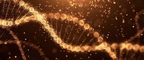 Developing Deep Learning Models To Understand The Human Genome News Center