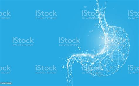 라인 삼각형 및 입자 스타일 디자인에서 인간의 위장 삽화 벡터 위에 대한 스톡 벡터 아트 및 기타 이미지 위 소화기 계통