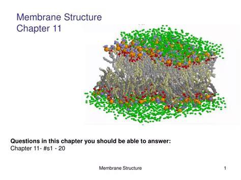 PPT Membrane Structure Chapter PowerPoint Presentation Free Download ID