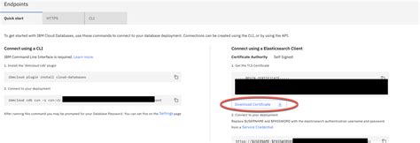 Example Of How To Connect And Use Elasticsearch On IBM Cloud Databases