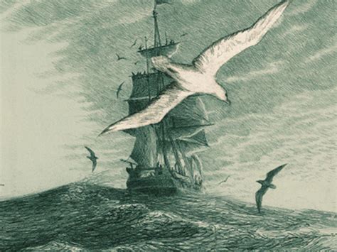 Moby Dick Wallpapers Wallpaper Cave
