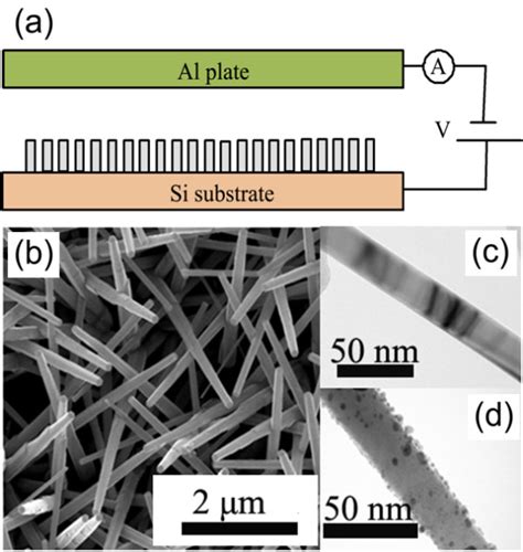 Schematic Diagram Of The Zno Nanorod Based Gas Sensor Device B Sem