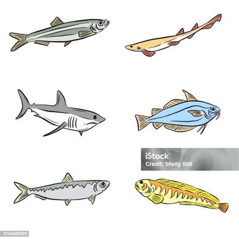 벡터 양식 로고의 수중 바다와 민물 물고기 상어와 뱀장어 만화 일러스트 클립아트의 컬렉션 0명에 대한 스톡 벡터 아트 및 기타 이미지 0명 고등어류 낚시 Istock