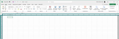 01 Conceptos Básicos de Excel Introducción Soy Malena
