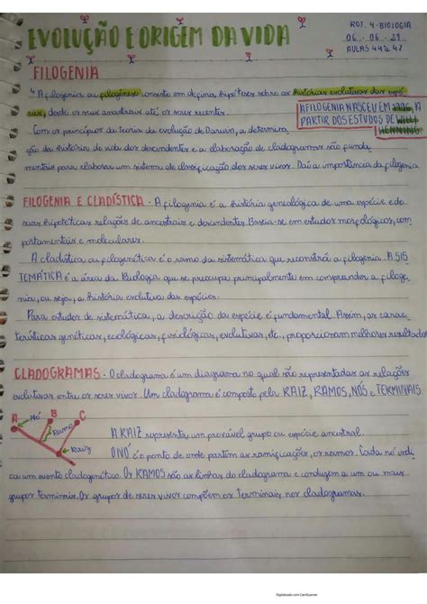 SOLUTION Evolu O E Origem Da Vida Teoria Resumida Biologia Studypool