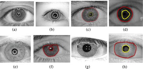 Segmentation Results From The Published Works A Ubiris V1 From Ref Download Scientific