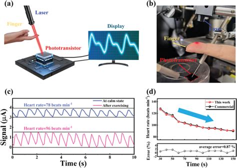 Implementation Of Real‐time Human Pulse Signal And Heart Rate Download Scientific Diagram