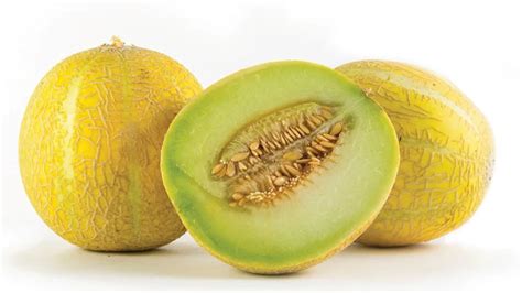 15 Different Types Of Melons You Can Pick Up This Summer According To