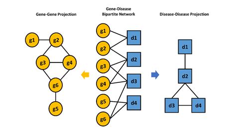A Representation Of A Heterogeneous Network Composed Of Gene Disease Download Scientific Diagram