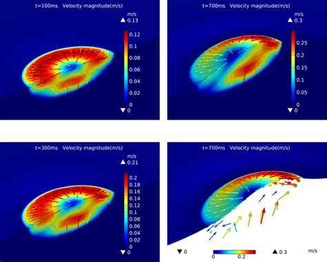 Flow Fields For The Laser Cladding Melt Pool At Different Times