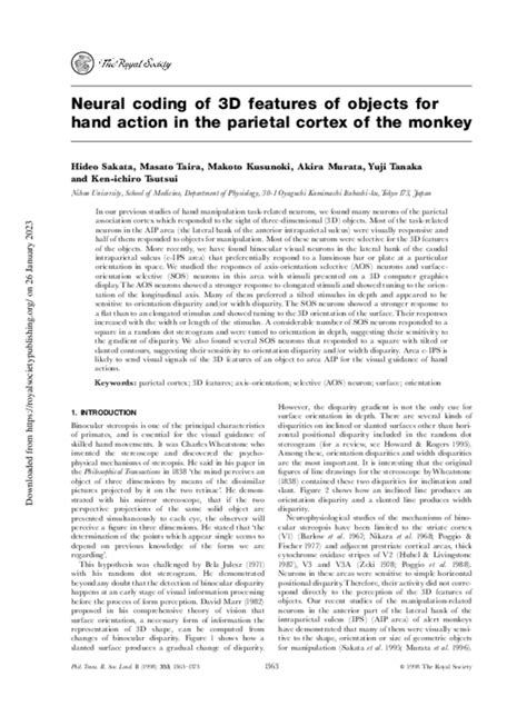 Pdf Neural Coding Of 3d Features Of Objects For Hand Action In The