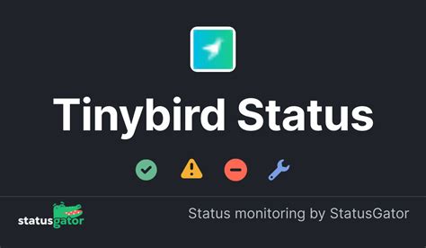 Tinybird Login Status Check If Tinybird Login Is Down Or Having An