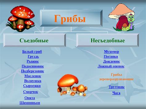 Грибы съедобные и несъедобные презентация онлайн