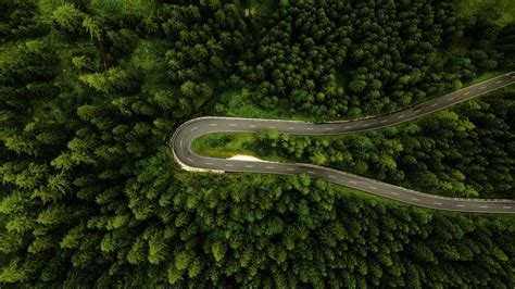 Quantum Systems Ai Based Forest Monitoring Project Kiwa