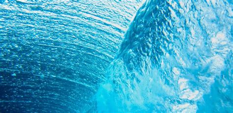 How Ocean Currents Impact Marine Life Lazy Seas⛱️