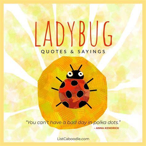 50 Ladybug Quotes To Bring You Good Luck