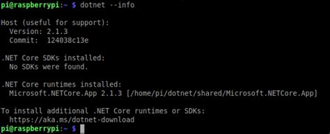 Solved Can Not Find And Use The Installed Net Sdk On Raspberry Pi 3b