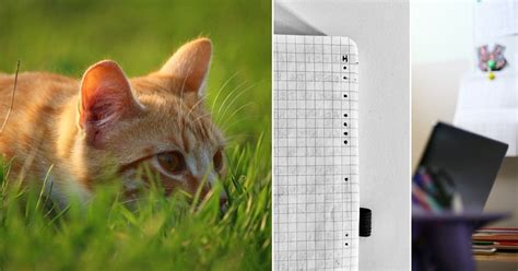 List Reading List Curated By Jenny Kahn Medium