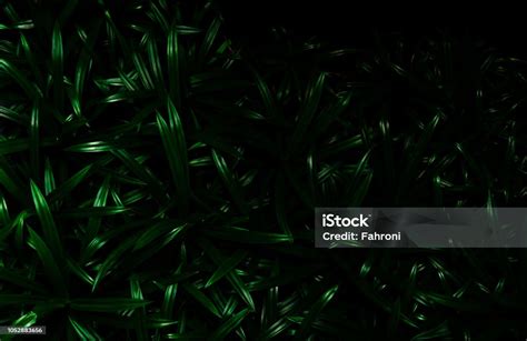 근접 촬영 Pandan 나뭇잎 질감 배경 녹색 유기 개념에 대 한 정글에 아름 다운 무늬와 나뭇잎 트로픽 정원에서 자연 식물입니다 자연 배경입니다 어두운 빛으로 판다