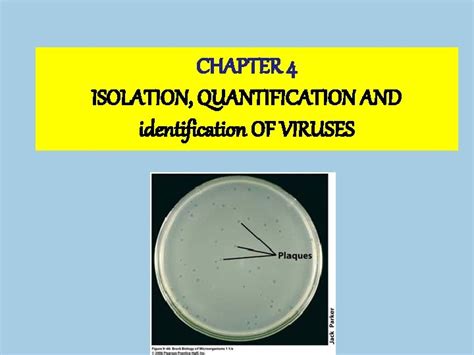 CHAPTER ISOLATION QUANTIFICATION AND Identification OF VIRUSES