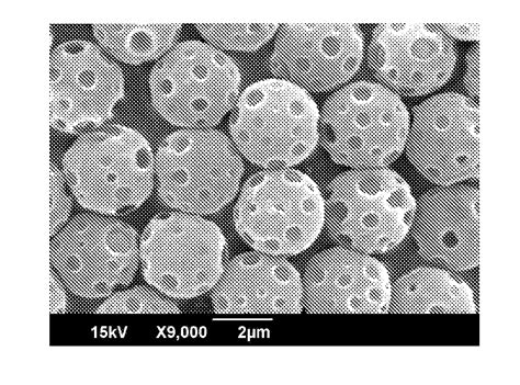 Resin Particle Having Many Recesses On The Surface Thereof Eureka