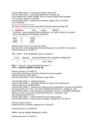 FIXING BLOCK CORRUPTION RMAN On 11G PDF