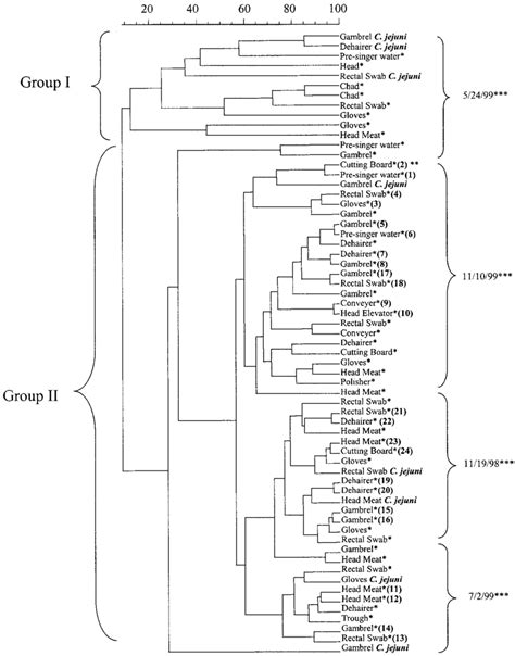 A Dendrogram Showing The Percentages Of Genetic Similarity Between 60