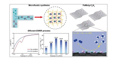 Two Dimensional N Doped Carbon With Embedded Microfluidic Architected Fe Mo Nanodots Toward