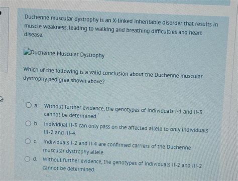 Solved Duchenne Muscular Dystrophy Is An X Linked