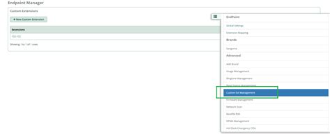 commercial endpoint manager epm edit custom extension values after