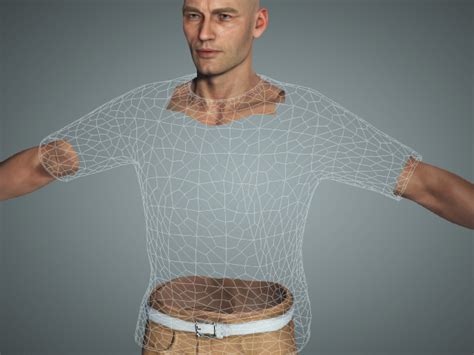 Loading Hidden Mesh Data