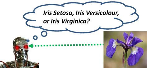 Lm101 013 How To Use Linear Machine Learning Software To Make