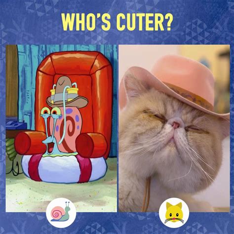 Whos Cuter Gary Or Cat House Cat Meow Or Meow By Spongebob