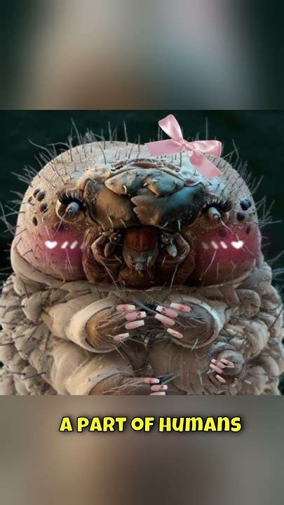 You Have Tiny Bugs Living On Your Face Youtube